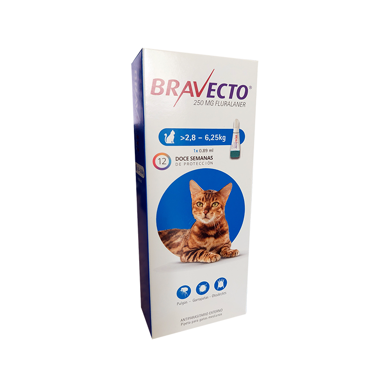 Bravecto Gato De 2 8 A 6 25kg Traviesos Pet Shop